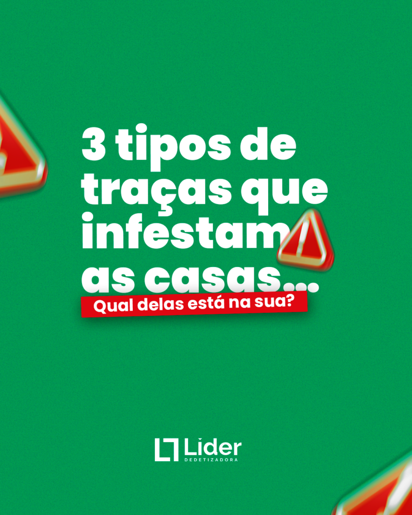 Tipos de Traças que Podem Invadir Sua Casa e Como Evitar Infestações em ...